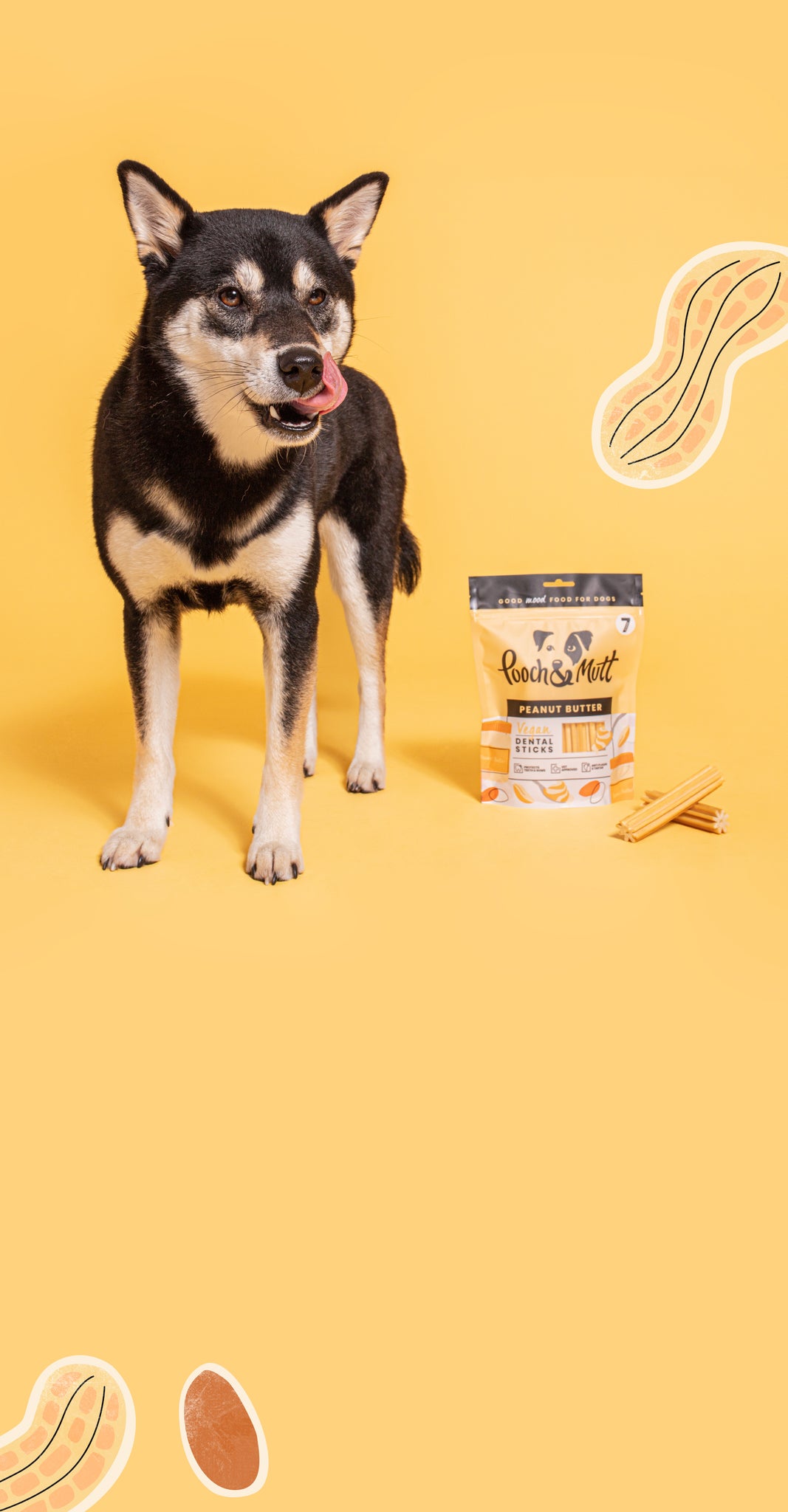 Pooch and Mutt | Gesundes Hundefutter