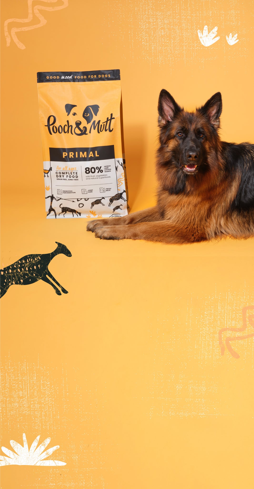 Pooch and Mutt | Gesundes Hundefutter